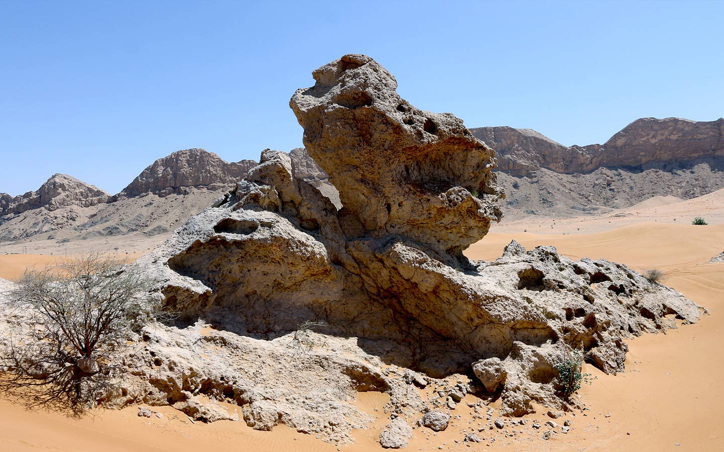 Best Camping Spots in the UAE: Jebel Jais, Al Qudra & More - MyBayut