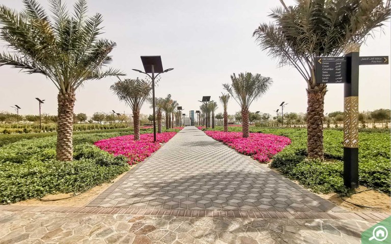 Quranic Park Dubai Guide: Location, Timings, Ticket & More - MyBayut
