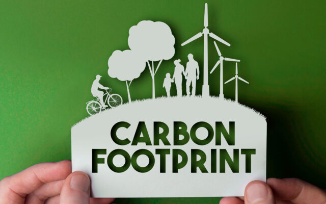 Steps on How to Lead a Greener Life in Dubai - MyBayut