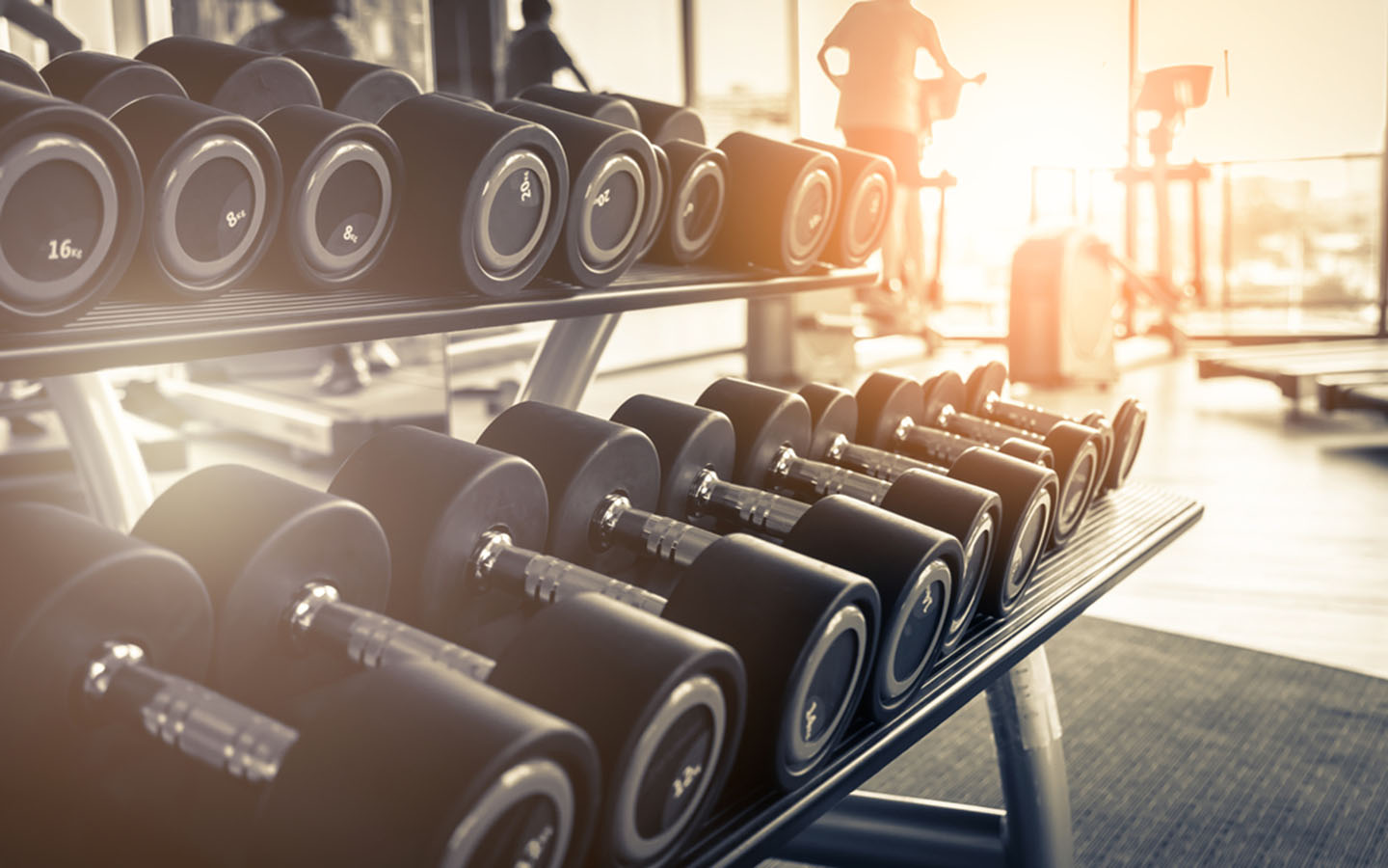 Best Gyms in Ajman: I Gym, Infinity Fitness & More - MyBayut