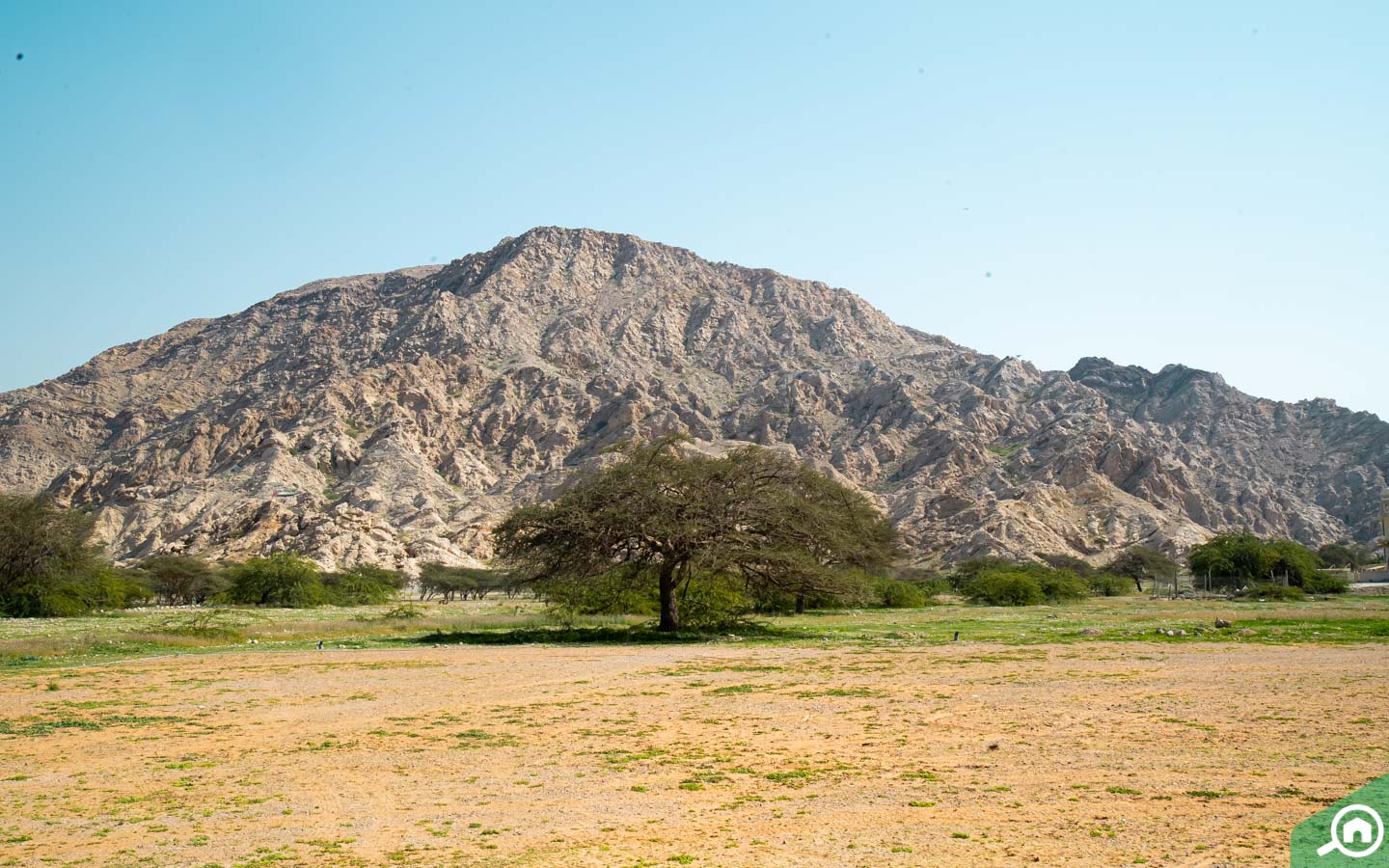 Best Natural Places in the UAE: Hatta, Hajar Mountains & More - MyBayut