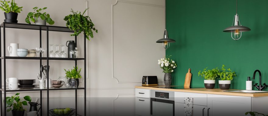 A Complete Guide to Vertical Gardening in your Kitchen - MyBayut