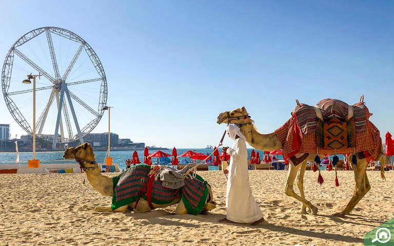 JBR Beach Dubai: Things to Do, Restaurants, Shops & More - MyBayut