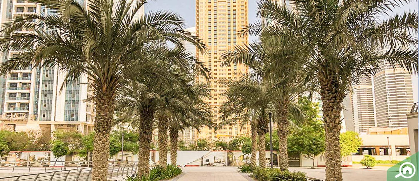 Pros & Cons of Living in JLT (Jumeirah Lake Towers) - MyBayut