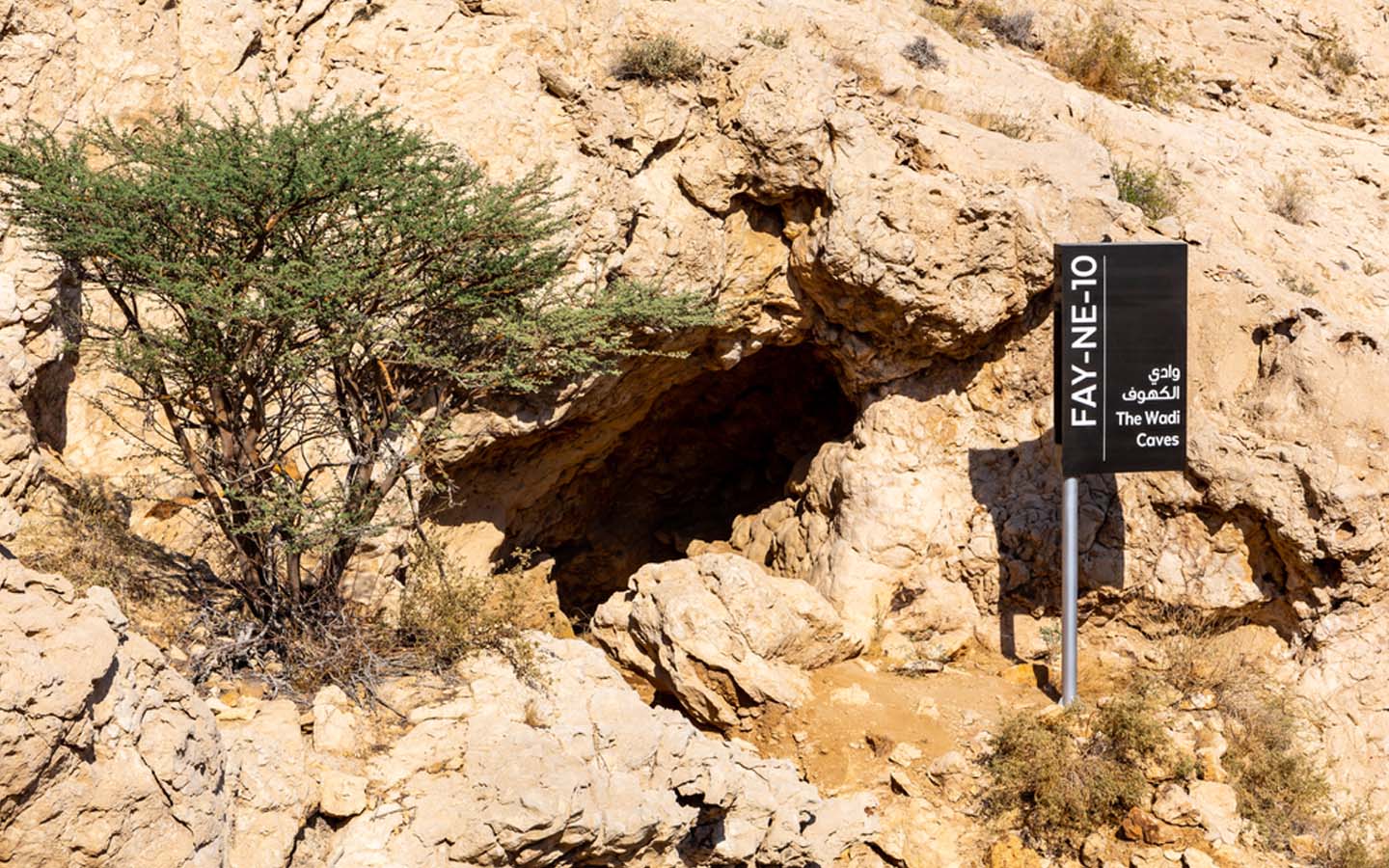 جبل الفاية، نبذة عن جبل الفاية، الاكتشافات الأثرية، التواصل | ماي بيوت