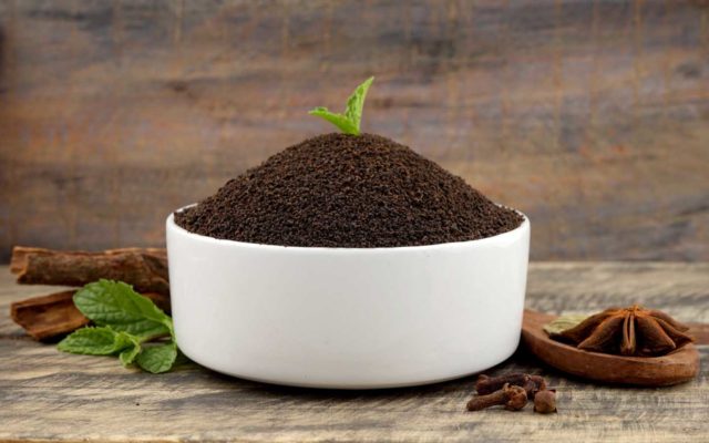 Best Karak Chai in Dubai: Project Chaiwala, Filli & More - MyBayut