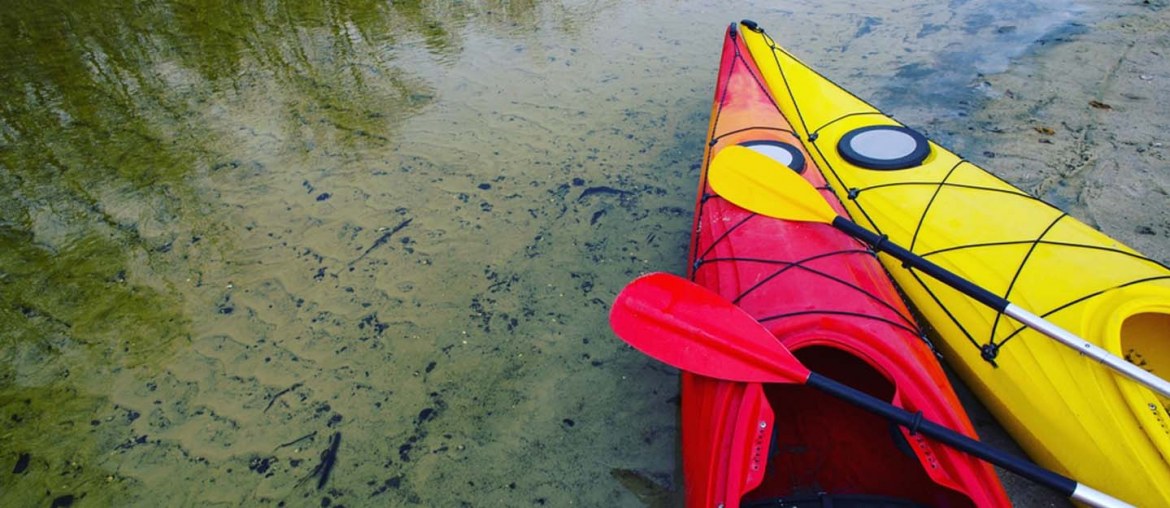 A Guide to the Top Areas for Kayaking in Dubai - MyBayut