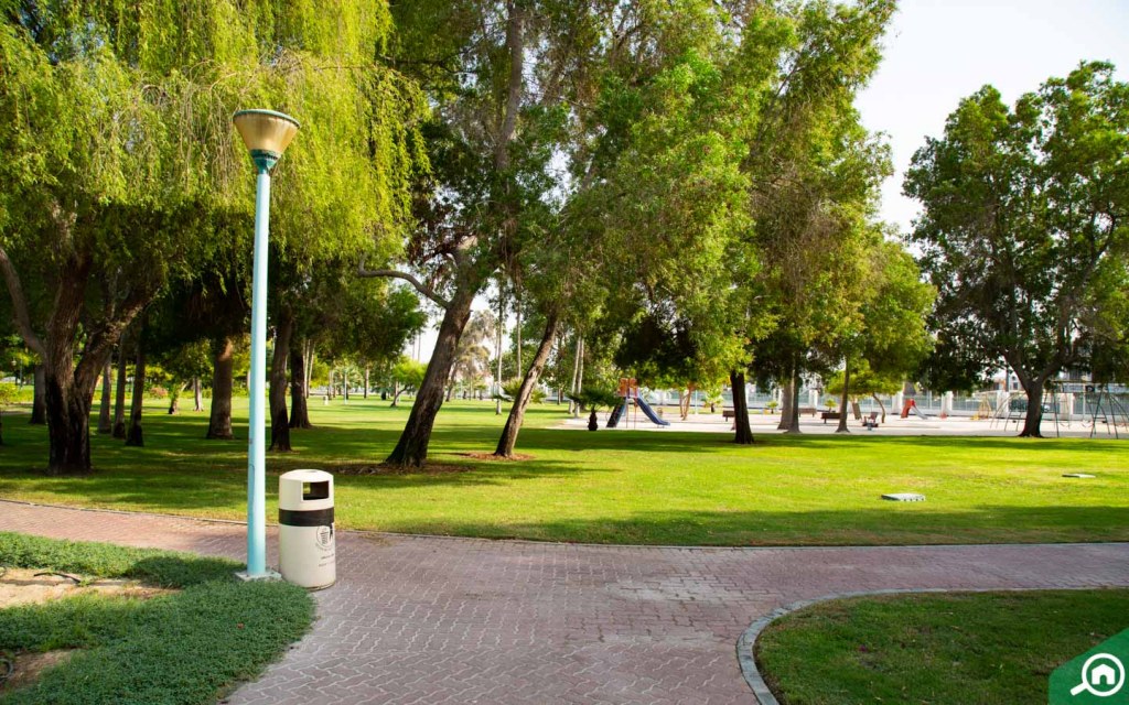 Things to do in Safa Park: Rides, Dubai Canal & more - MyBayut