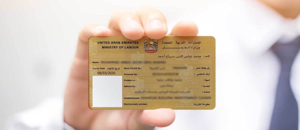 UAE Labour Card: How to Check, Registration Process & More - MyBayut