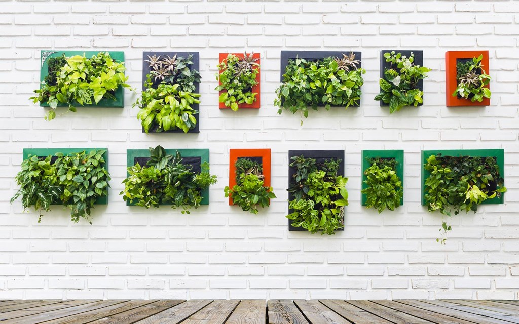 How to go Green with Living Walls - MyBayut