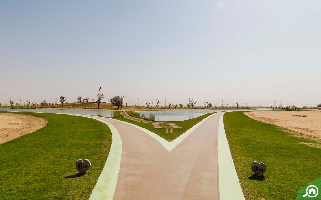 Al Qudra Lake Guide: Love Lake, Camping, Location & More - MyBayut