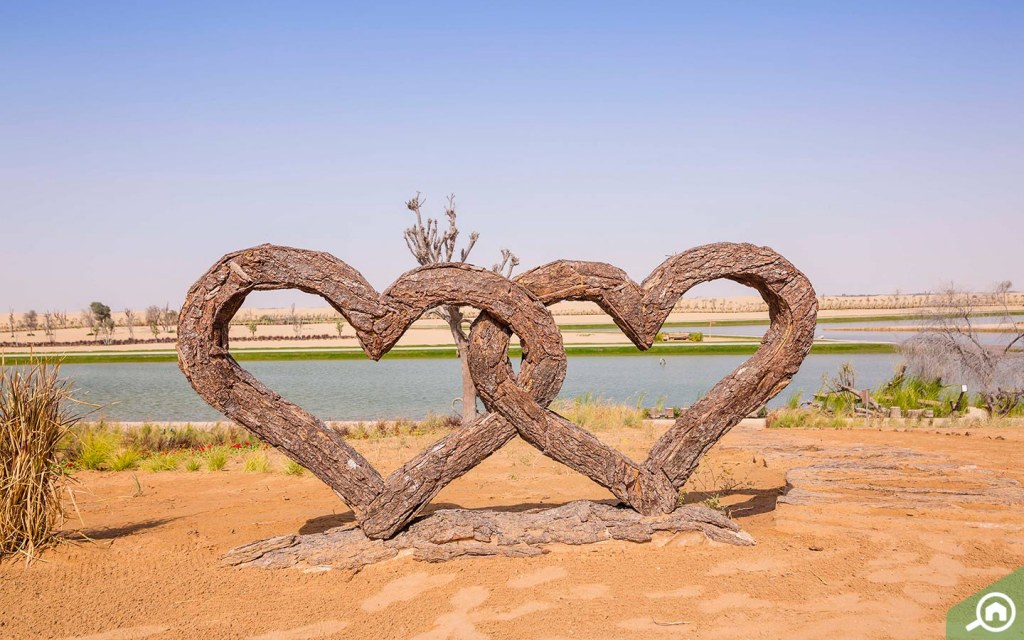 Al Qudra Lake Guide: Love Lake, Camping, Location & More - MyBayut