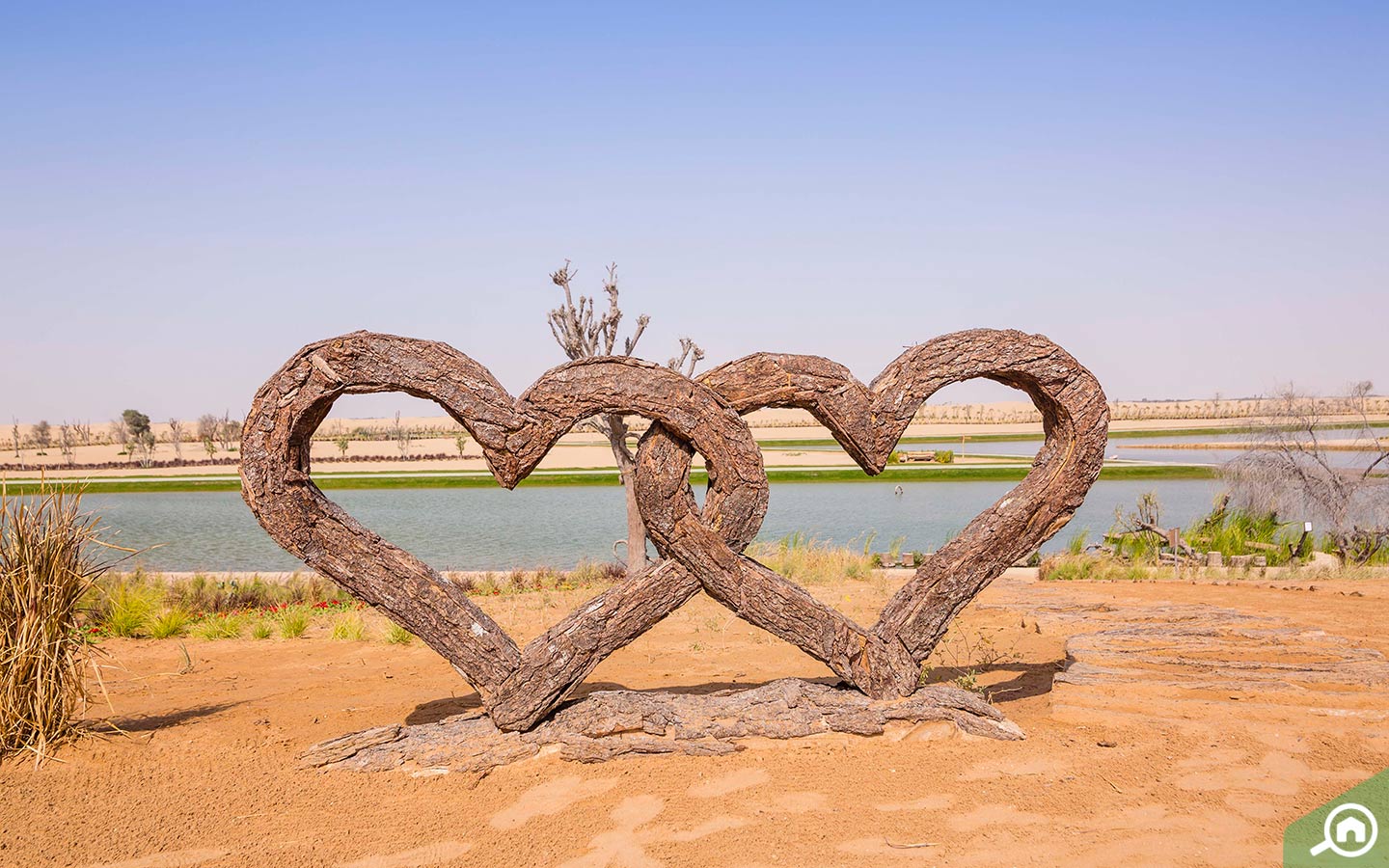 All about Love Lake in Dubai: Timings, Location & more - MyBayut
