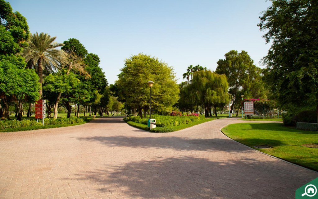 Things to do in Safa Park: Rides, Dubai Canal & more - MyBayut