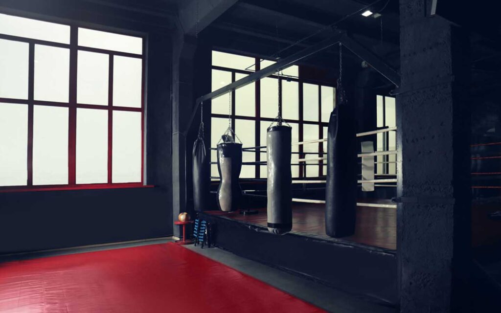 Best MMA Gyms in Dubai: UFC, MMA Fitness Centre & More - MyBayut