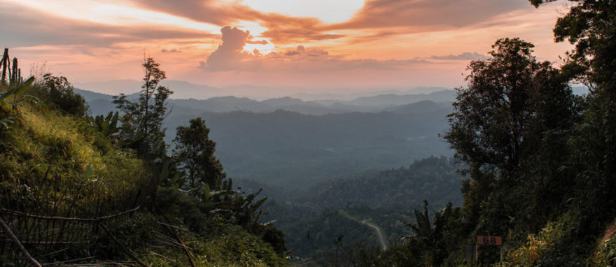 A guide to MOCCAE UAE: Inception, Services & More - MyBayut