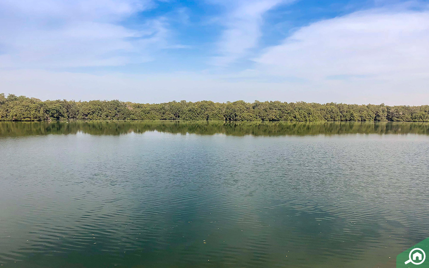 Best Natural Places in the UAE: Hatta, Hajar Mountains & More - MyBayut