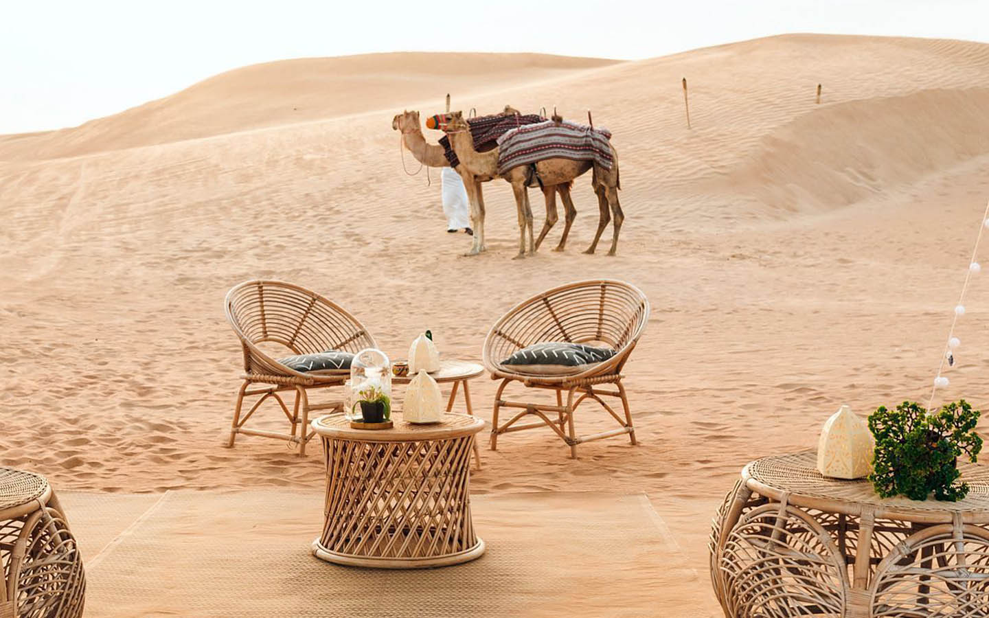 All about the Nara Desert Escape: Prices, Activities & more - MyBayut