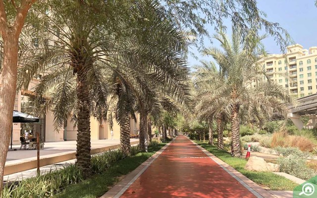 Best Running Tracks in Dubai: Burj Park, Mushrif Park & More - MyBayut