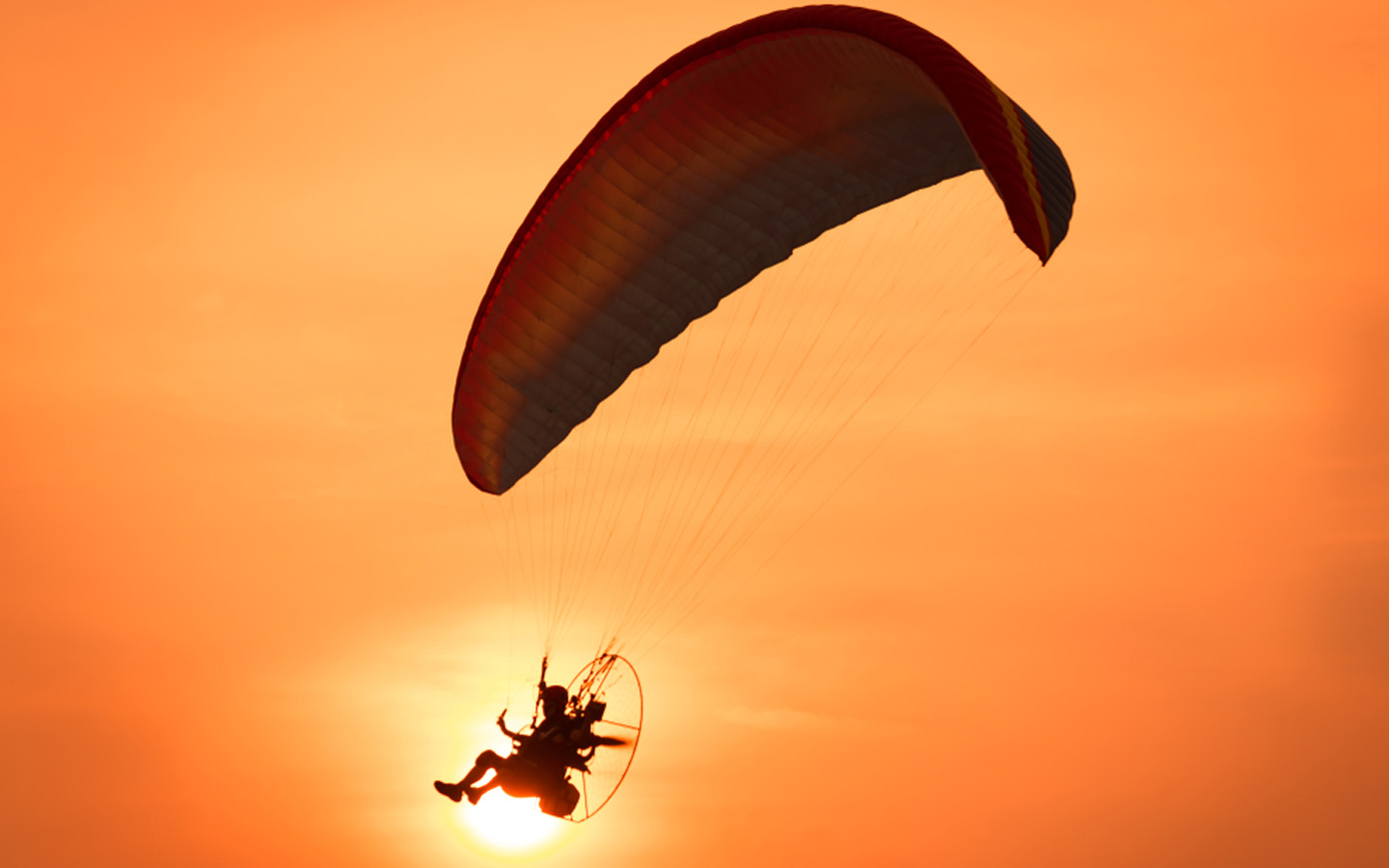 Paramotoring in Ras Al Khaimah: Courses, Fees & More - MyBayut
