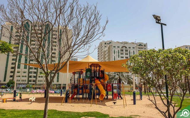Family Parks in Sharjah: National Park, Desert Park & More - MyBayut