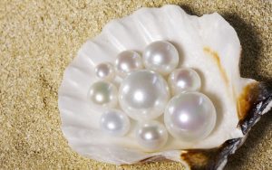 Pearl Diving in the UAE: History, Economy, Facts & More - MyBayut