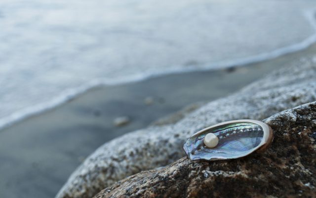 Pearl Diving in the UAE: History, Economy, Facts & More - MyBayut