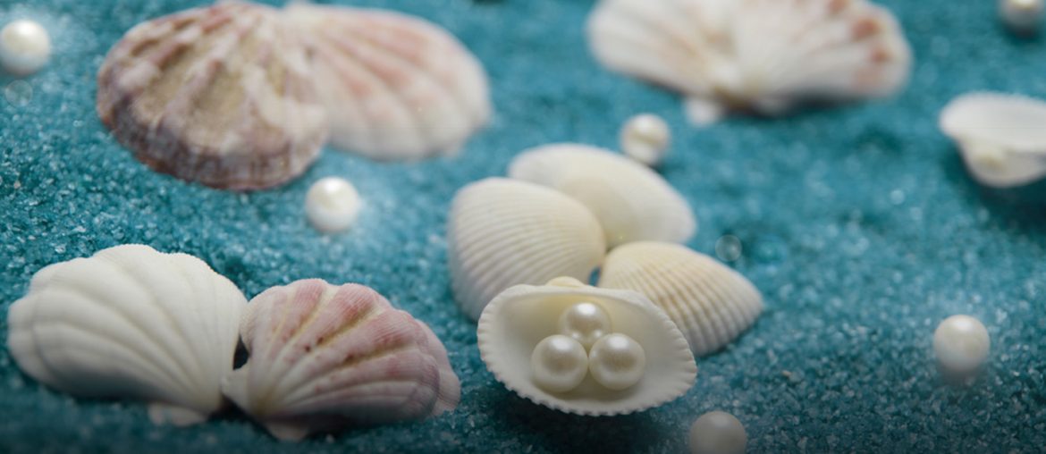 Pearl Diving in the UAE: History, Economy, Facts & More - MyBayut