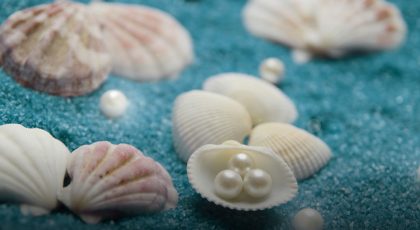 Pearl Diving in the UAE: History, Economy, Facts & More - MyBayut