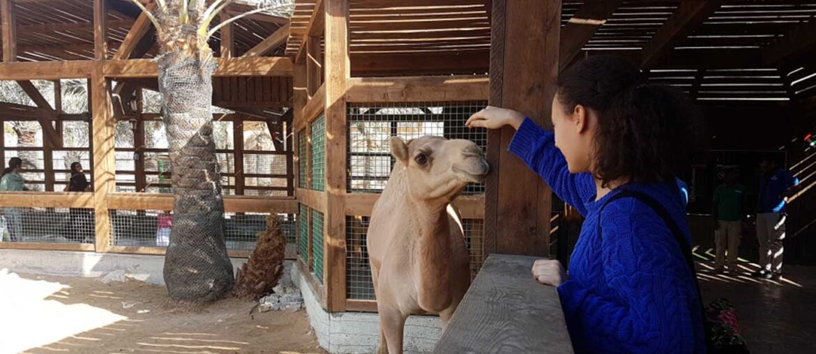 Petting Zoos in Abu Dhabi: Al Ain Zoo, Emirates Park & More - MyBayut