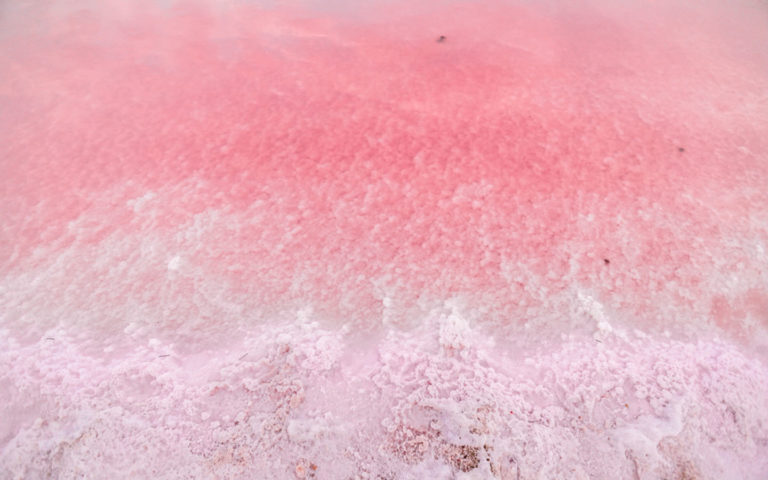Pink Lake in the UAE: Location, Why It’s Pink? & More - MyBayut