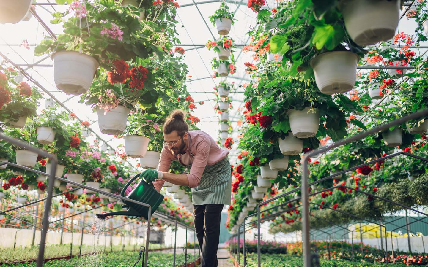 Plant Nurseries in Abu Dhabi: Royal Garden, Al Bahia & More - MyBayut