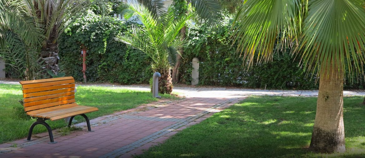 Port Saeed Plaza Park: Location, Things to do & More - MyBayut