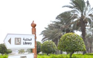 Public Libraries in Dubai: Mohammed bin Rashid Library & More - MyBayut