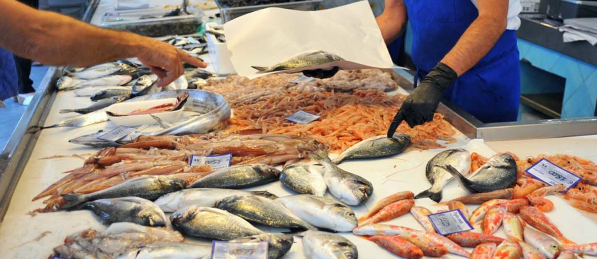 Ras Al Khaimah Fish Market Guide: Location, Timings & More - MyBayut