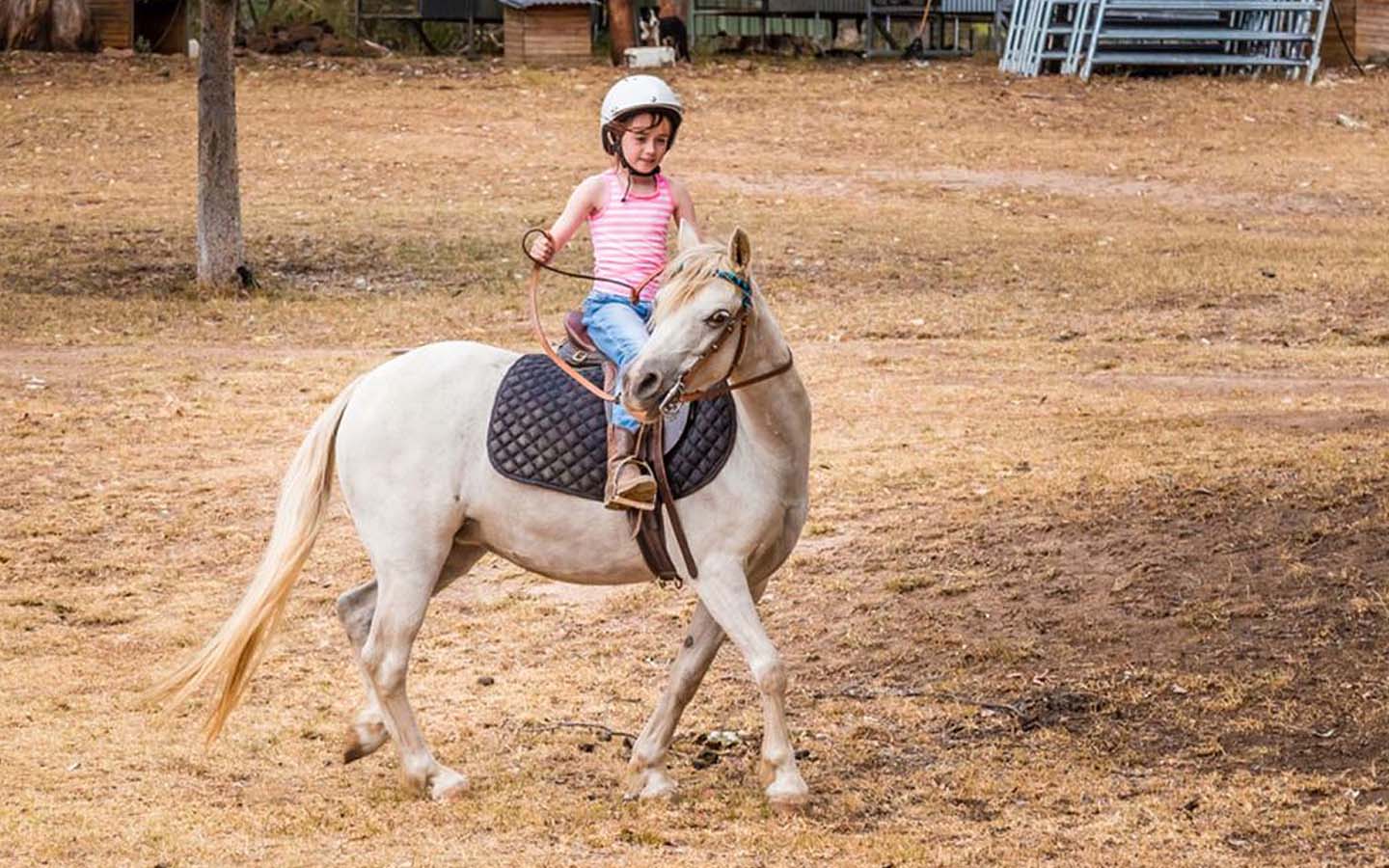 All About RAK Zoo: Activities, Location, Timings & More - MyBayut