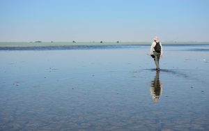 Complete Guide to UNESCO Heritage Sites in the UAE - MyBayut