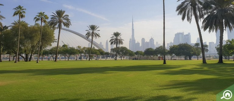 Things to do in Safa Park: Rides, Dubai Canal & more - MyBayut