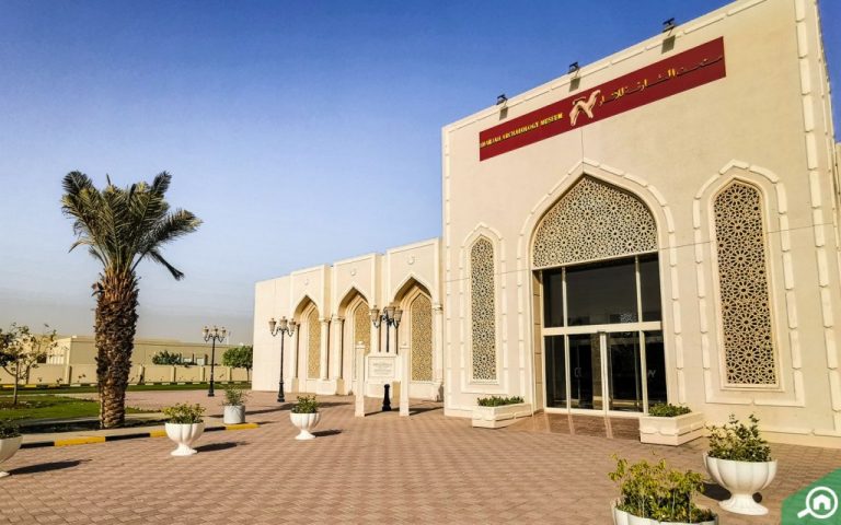 40+ Best Things to do & Places to Visit in Sharjah - MyBayut