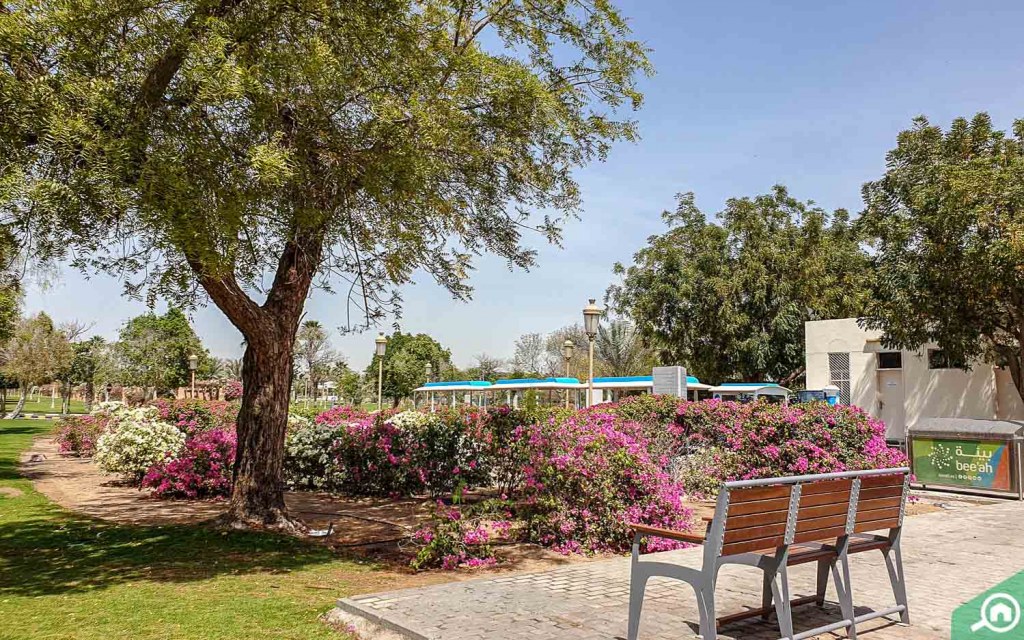 Family Parks in Sharjah: National Park, Desert Park & More - MyBayut
