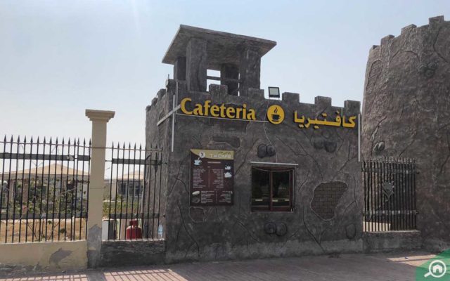 All about H.H. Sheikh Zayed Bin Sultan Al Nahyan Park - MyBayut