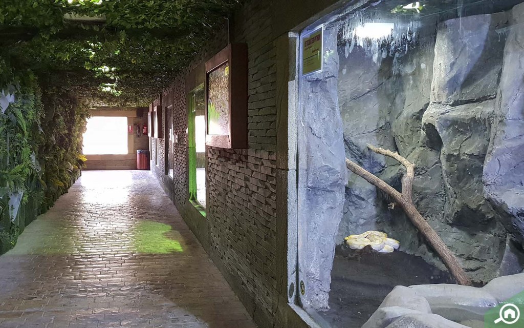 Emirates Park Zoo & Resort: Tickets, Opening Hours & More! -MyBayut