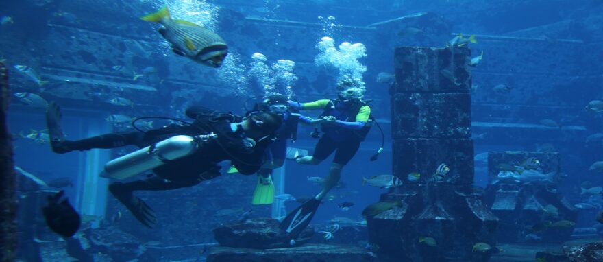 The Lost Chambers Aquarium: Tickets, Activities & More - MyBayut