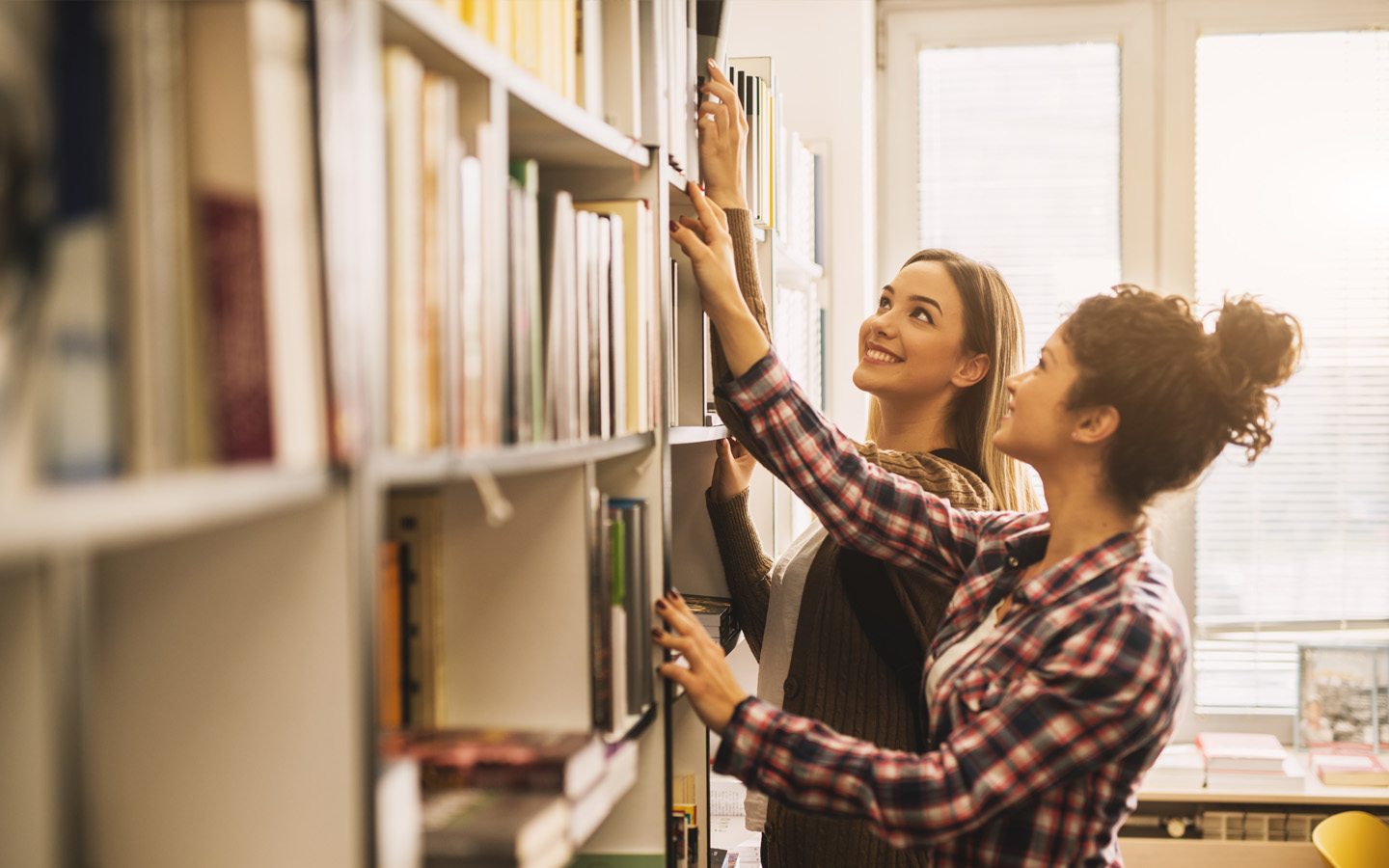 Public Libraries in Abu Dhabi: Khalifa Park, Al Marfa & More - MyBayut