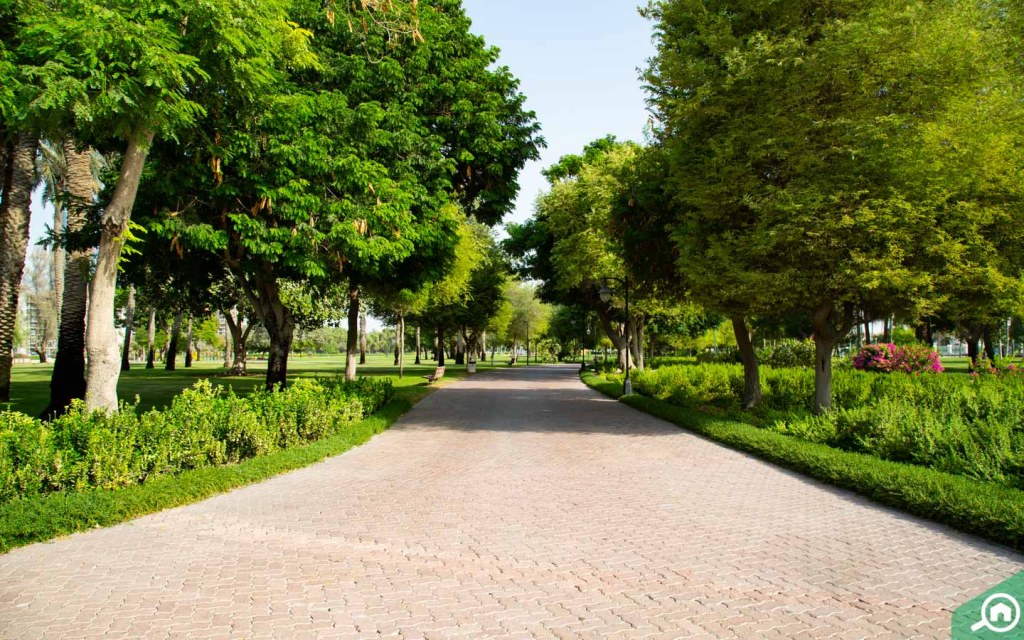 Things to do in Safa Park: Rides, Dubai Canal & more - MyBayut