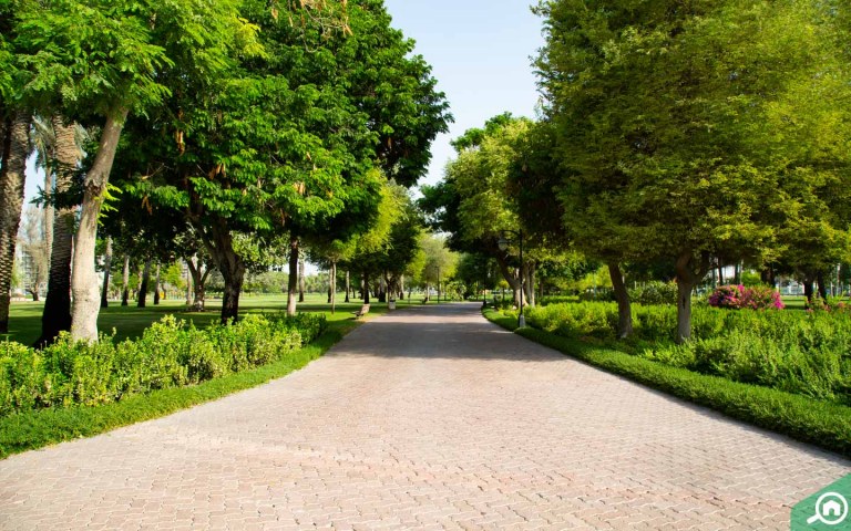 Things to do in Safa Park: Rides, Dubai Canal & more - MyBayut