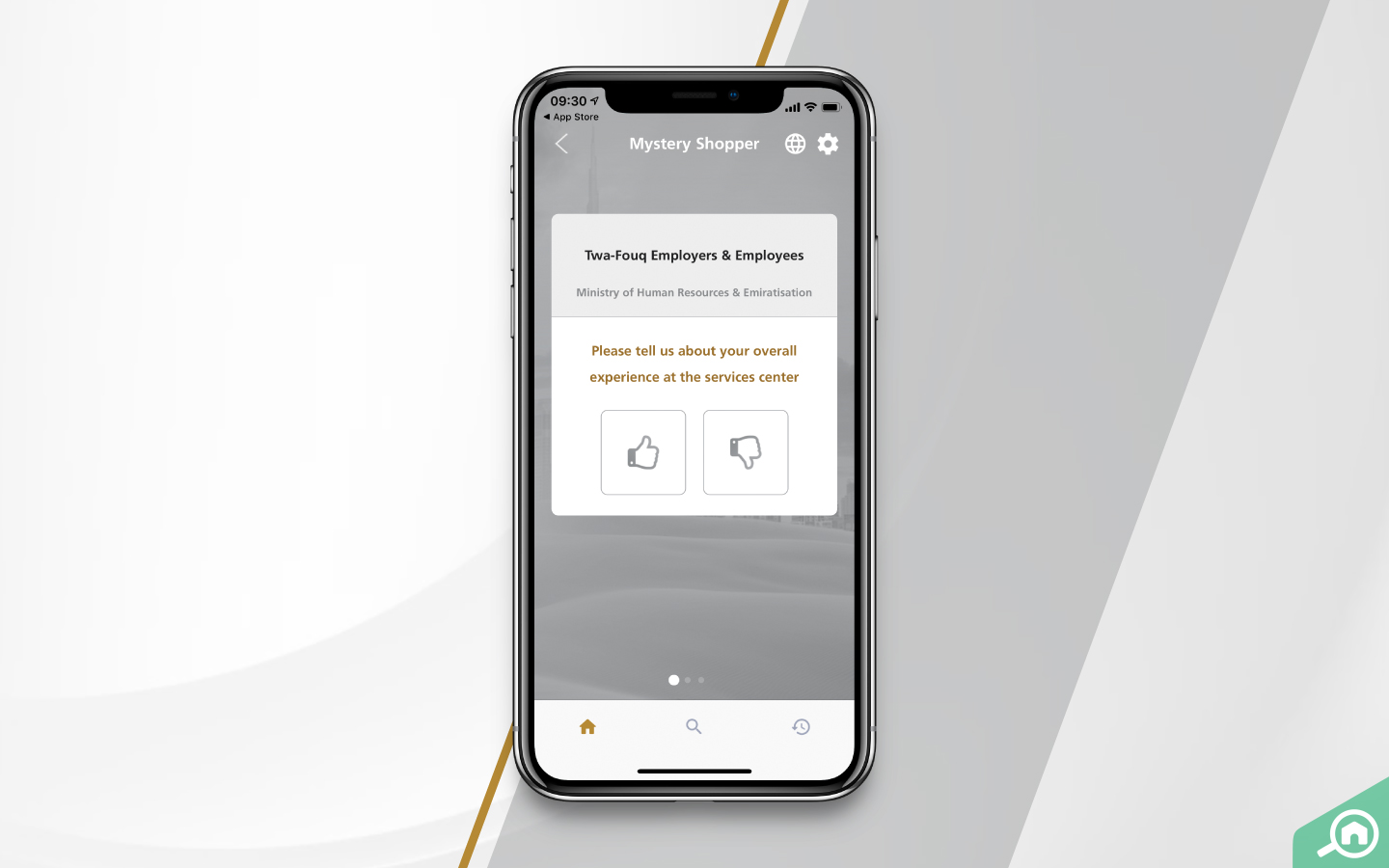 UAE Mystery Shopper App Launched: How It Helps - MyBayut