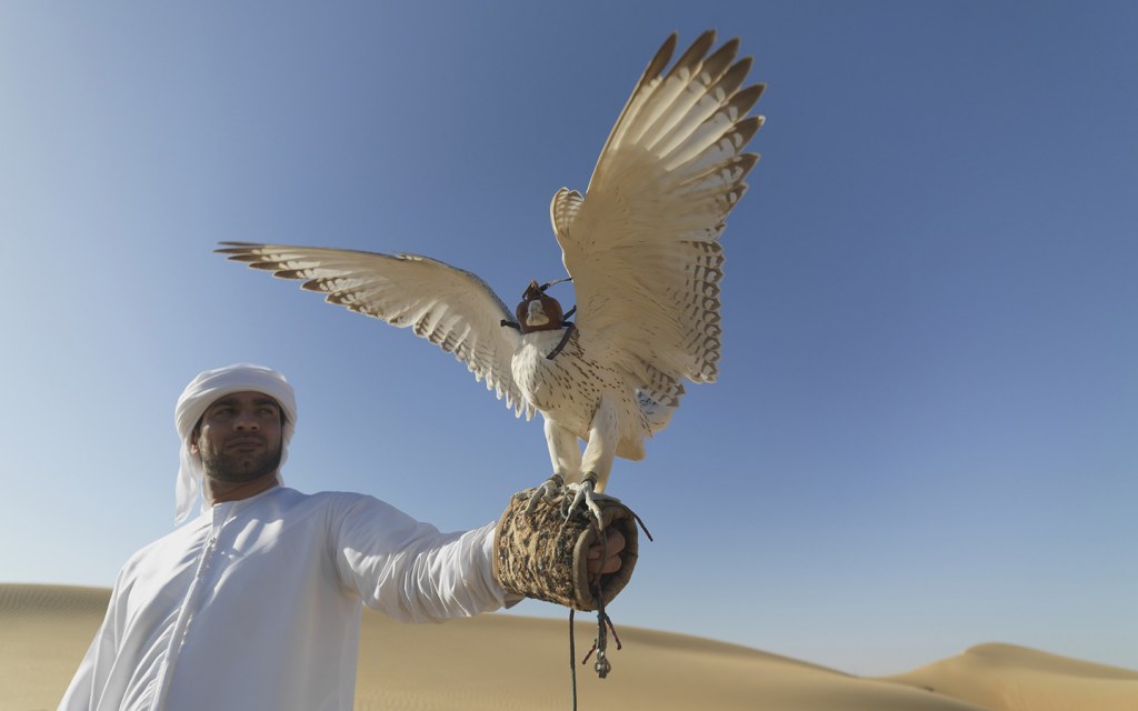 A List of all the National Symbols Of The UAE - MyBayut