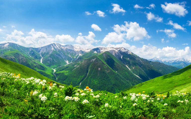 Complete Guide to Travelling From the UAE to Georgia – MyBayut