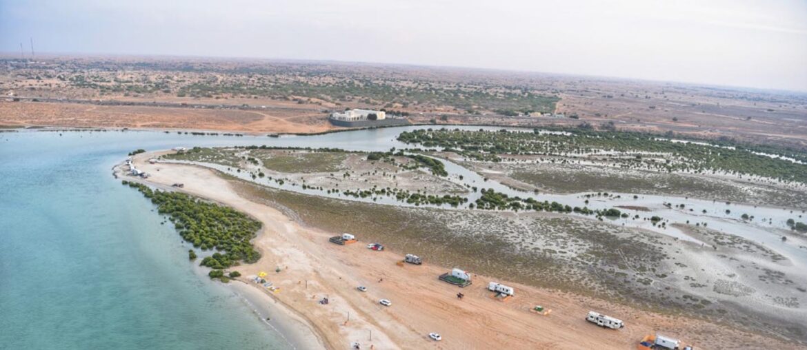 All About Mangrove Beach in Umm Al Quwain -MyBayut